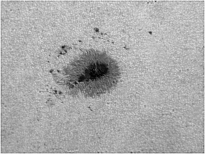 VENDO: Intes Micro Alter M703 180 f 10 | Astrosell